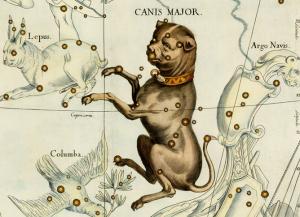 Canis Major Constellation Myth and Facts | Under the Night Sky