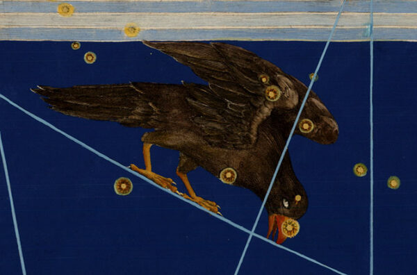 Corvus Constellation Myths and Facts | Under the Night Sky