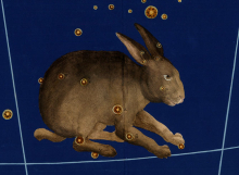Lepus Constellation Myths and Facts | Under the Night Sky