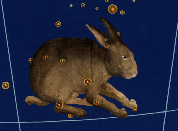 Lepus Constellation Myths and Facts | Under the Night Sky