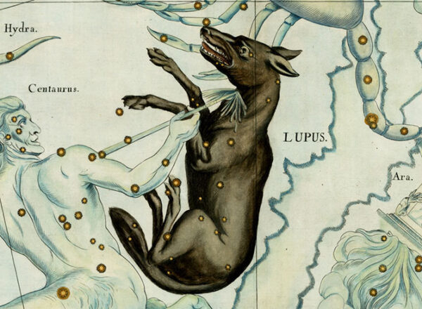 Lupus Constellation Myths and Facts | Under the Night Sky