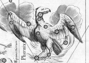 Phoenix Constellation Myths and Facts | Under the Night Sky