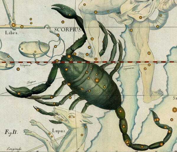 Scorpius Constellation Myths and Facts | Under the Night Sky