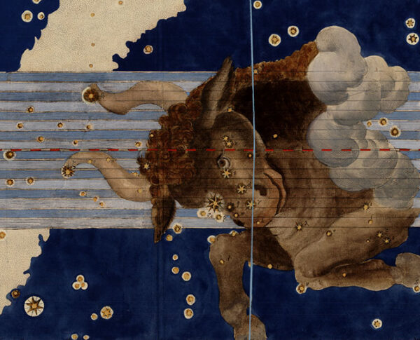 Taurus Constellation Myths and Facts | Under the Night Sky